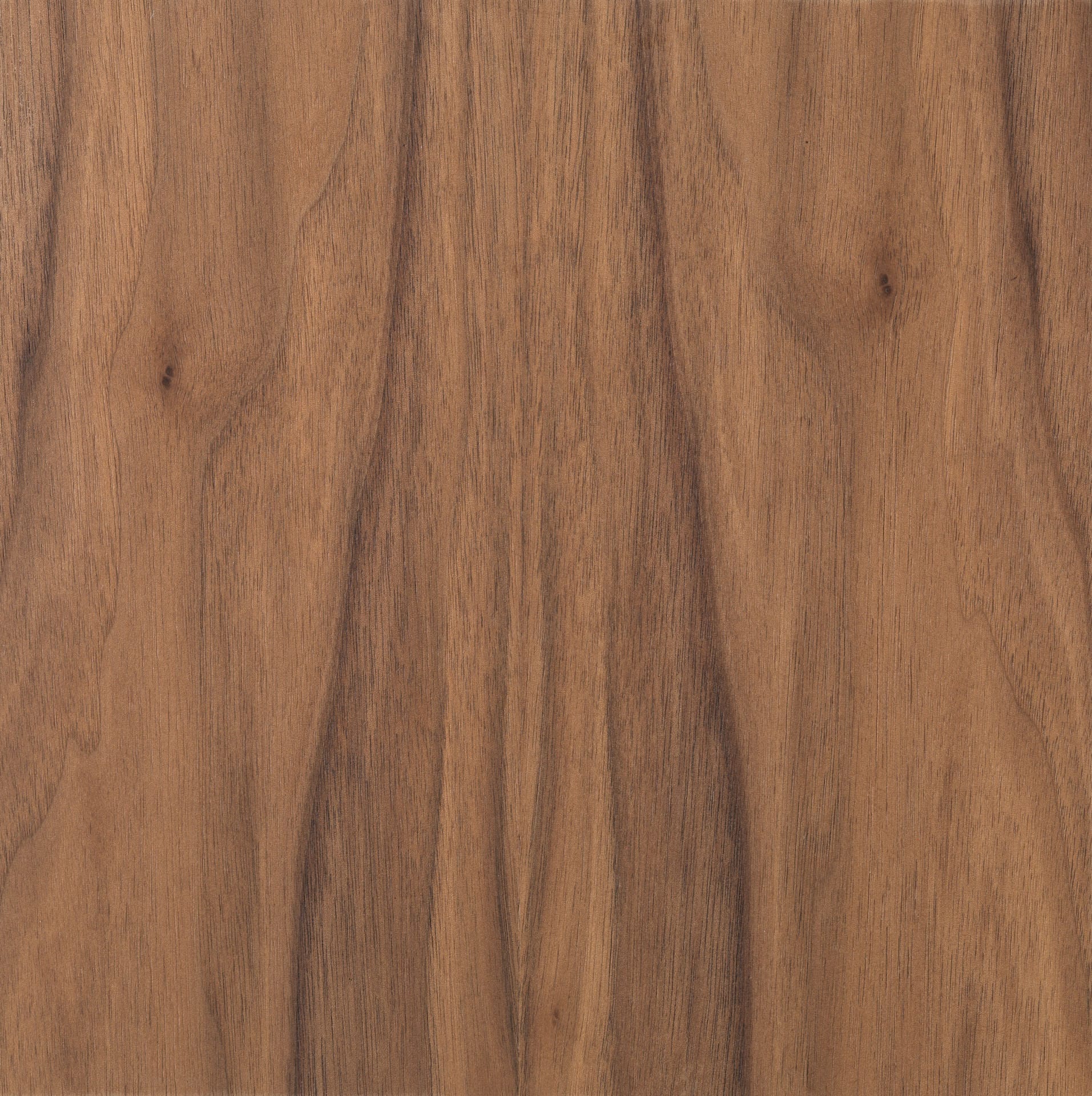 Noce canaletto - Ciam | Refrigeration Solutions