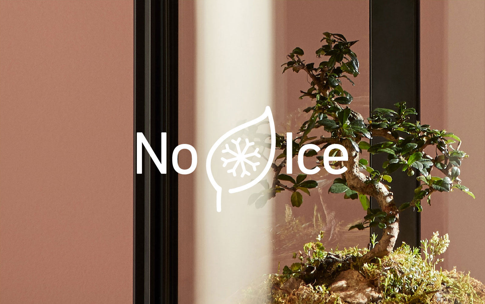 No-Ice - Ciam | Refrigeration Solutions
